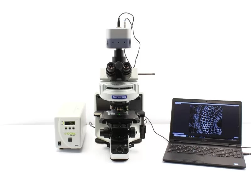 Andor DR-328G-CO1-SIL Clara Monochrome CCD Microscope Camera