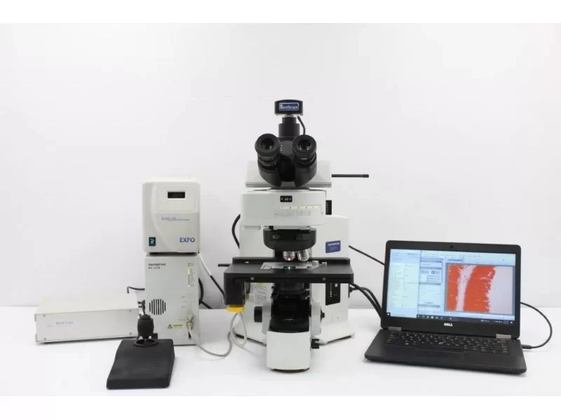 Olympus BX61 Upright Fluorescence Metal Halide Motorized XY Microscope ...