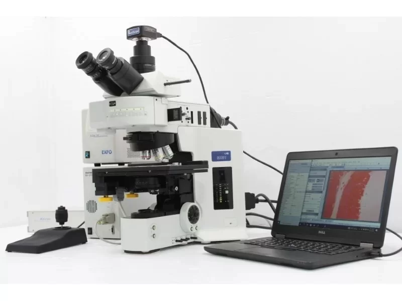 Olympus BX61 Upright Fluorescence Metal Halide Motorized XY Microscope ...