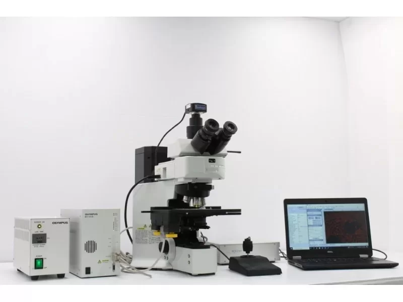 Olympus BX61 Upright Fluorescence Microscope with Motorized XY Stage ...