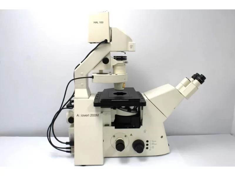 Zeiss Axiovert 200m Inverted Fluorescence Phase Contrast Microscope ...